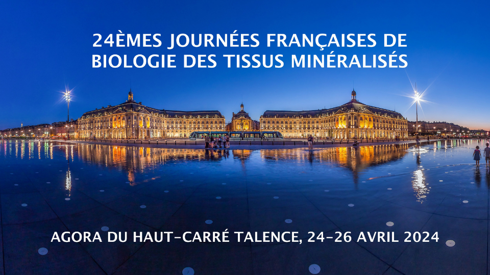 JFBTM 2024 :: Département STS